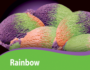 Original Rainbow 11.4L